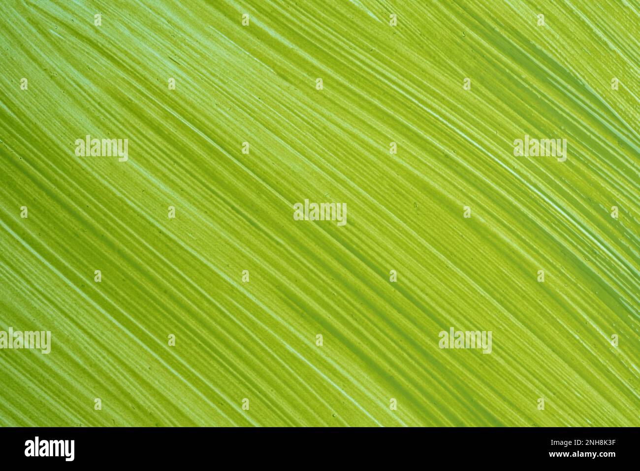 Olive backdrop hi-res stock photography and images - Alamy