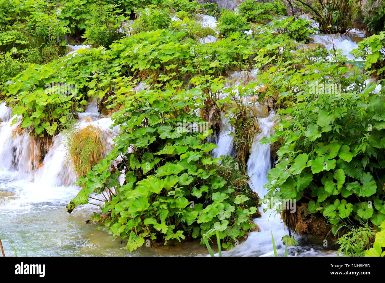 Beautiful waterfall on Plitvice lakes, national park, Croatia in spring ...