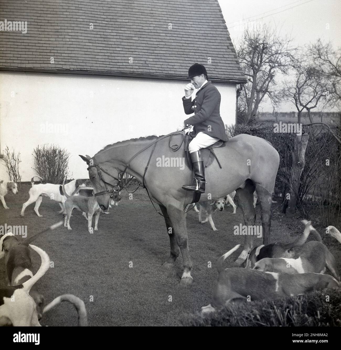 1965, historical, Thurlow Hunt, outside in a cottage garden, a hunt ...