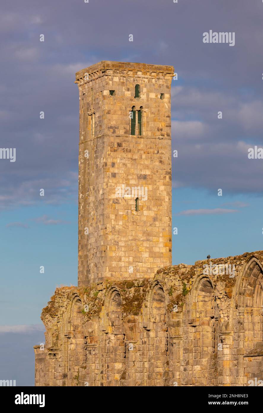 ST ANDREWS, SCOTLAND, EUROPE - St Rule's Tower, at St Andrews Cathedral ...