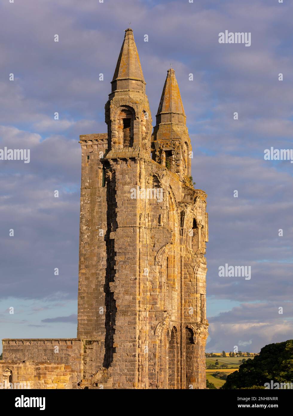 ST ANDREWS, SCOTLAND, EUROPE - St Andrews Cathedral ruins Stock Photo ...