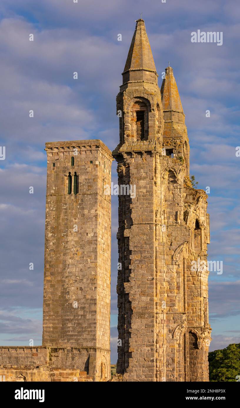 ST ANDREWS, SCOTLAND, EUROPE - St Andrews Cathedral ruins. St Rule's ...