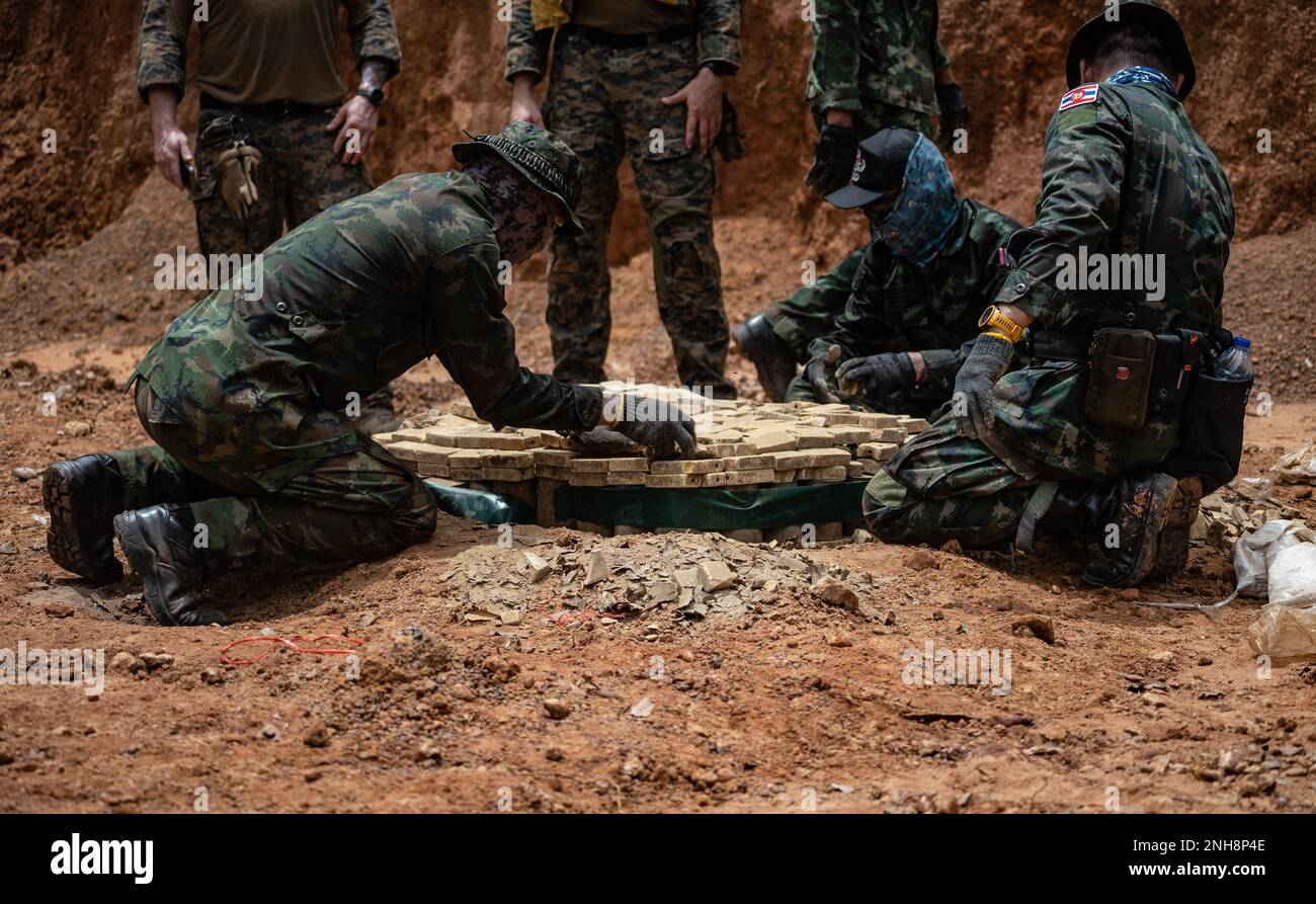 Royal Thai Army Explosive Ordnance Disposal technicians place anti ...