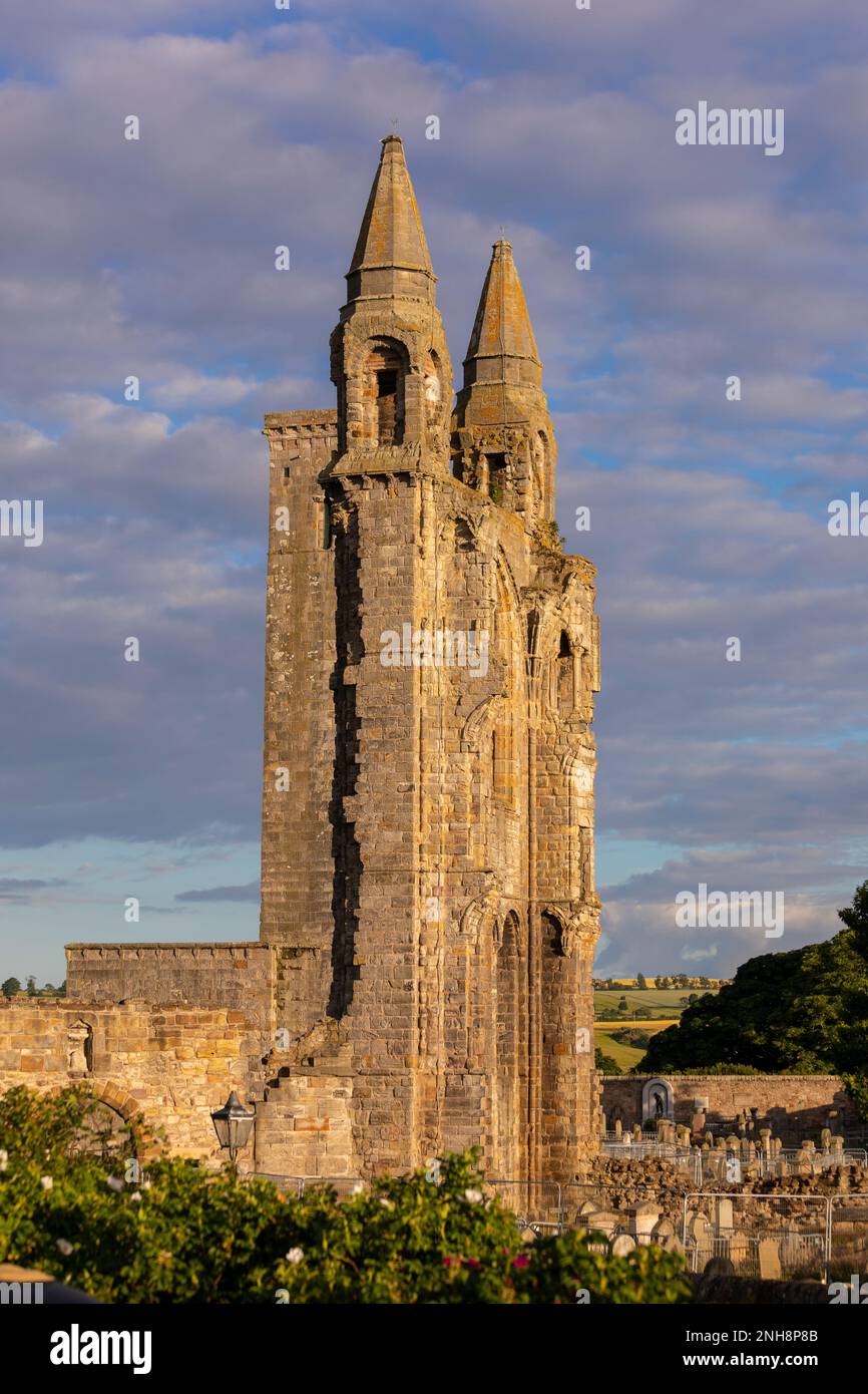 ST ANDREWS, SCOTLAND, EUROPE - St Andrews Cathedral ruins Stock Photo ...