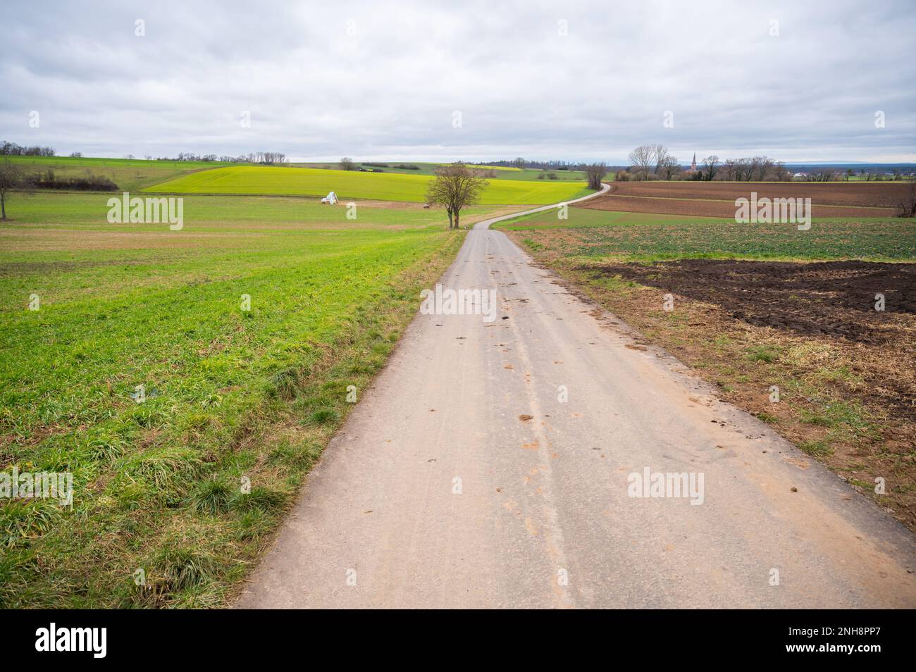 Agricultural path between multiple agricultural fields, stacked straw ...