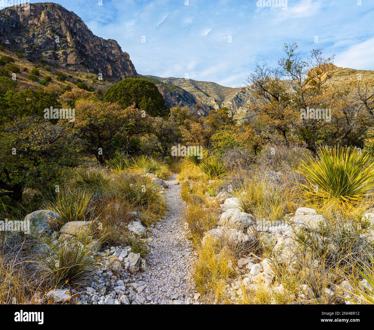 The Devil's Hall Trail in Pine Springs Canyon, Guadalupe Mountains ...