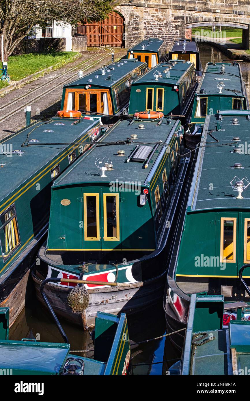 Fleet of holiday narrowboats moored together at Trevor Basin, Wrexham ...