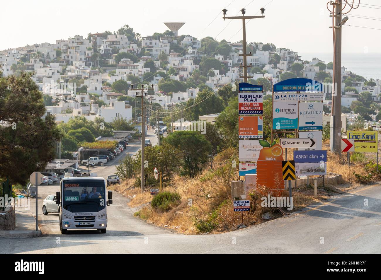 Dolmas at Bagla, Turkey Stock Photo - Alamy