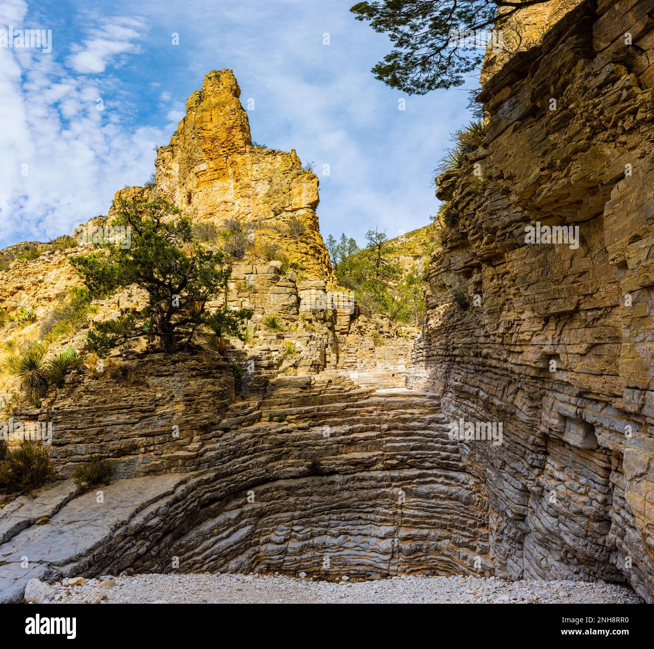 The Limestone Terraced Hiker's Staircase on The Devil's Hall Trail in ...