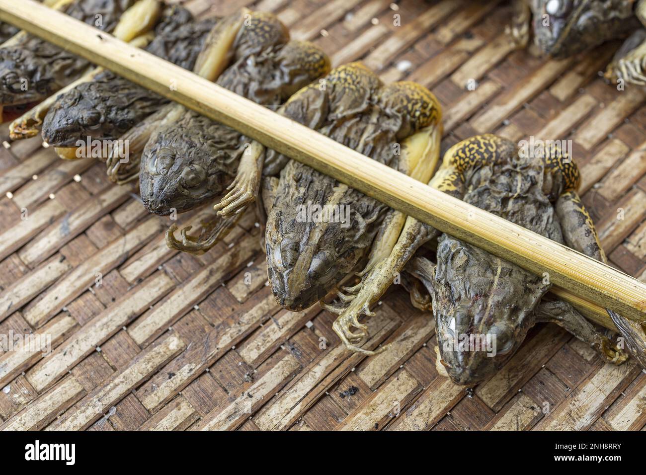 Sun dried green frogs on a woven bamboo tray are a local delicacy in ...