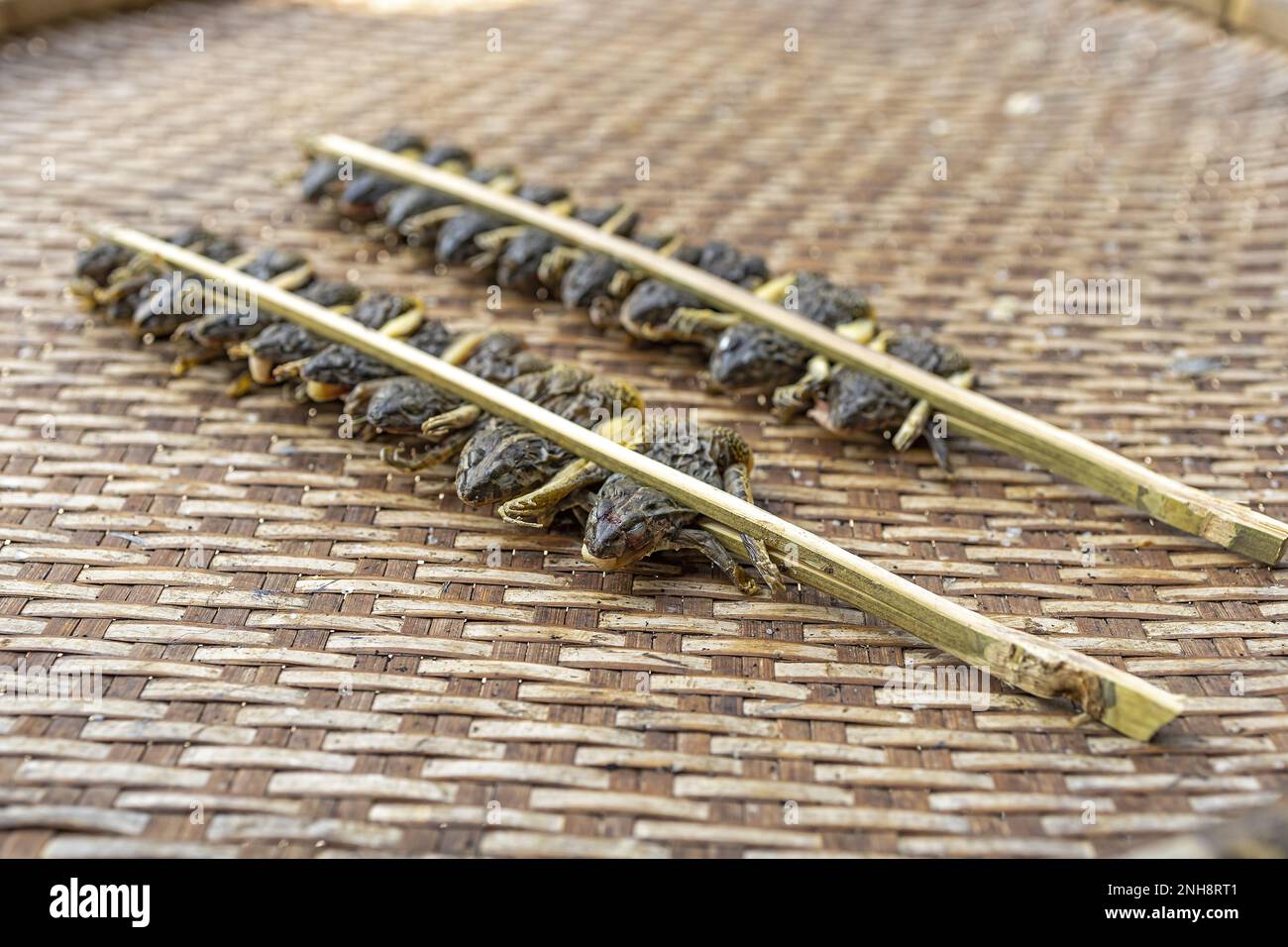 Sun dried green frogs on a woven bamboo tray are a local delicacy in ...