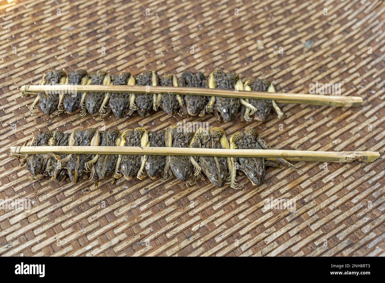 Sun dried green frogs on a woven bamboo tray are a local delicacy in ...