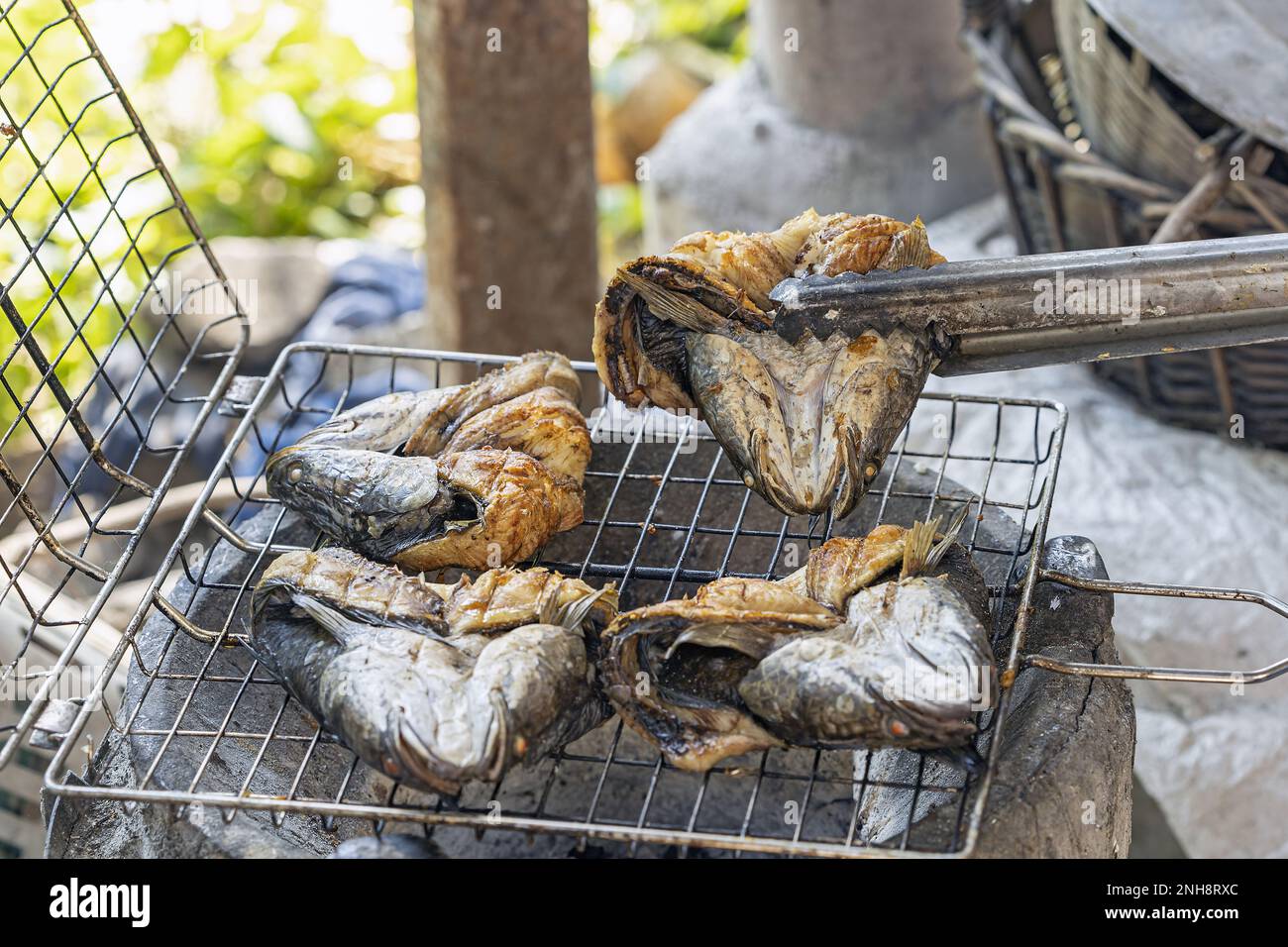 Snakehead fish is grilled over charcoal with steel tongs, a ready to ...