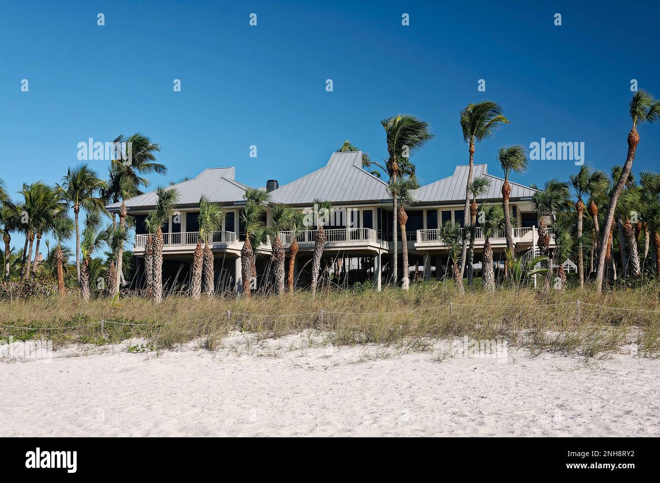 3 condominiums, beachfront, sand, palm trees, elevated on pilings, high ...