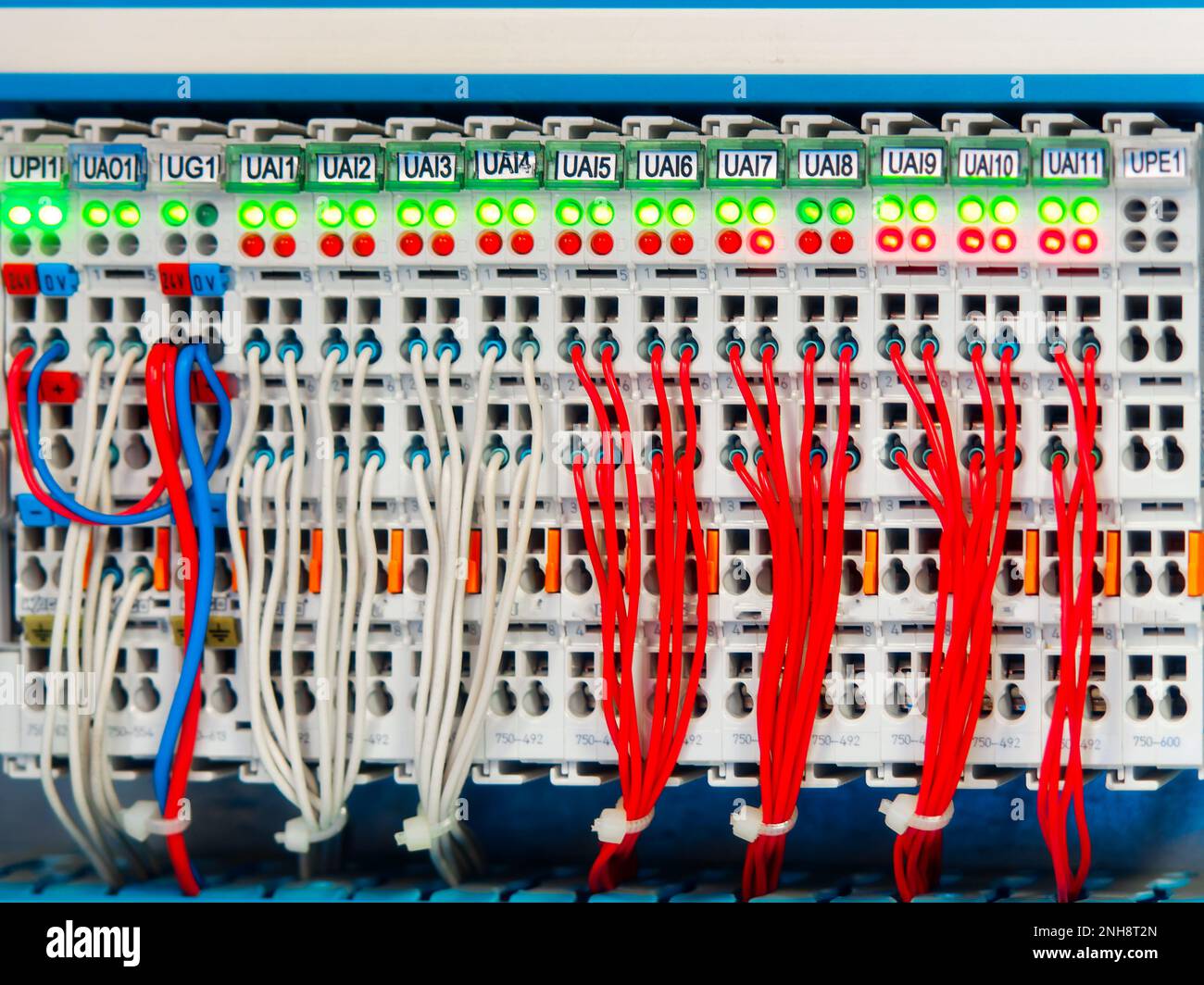 Network cables connected to switch. Many multi-colored wires connected ...