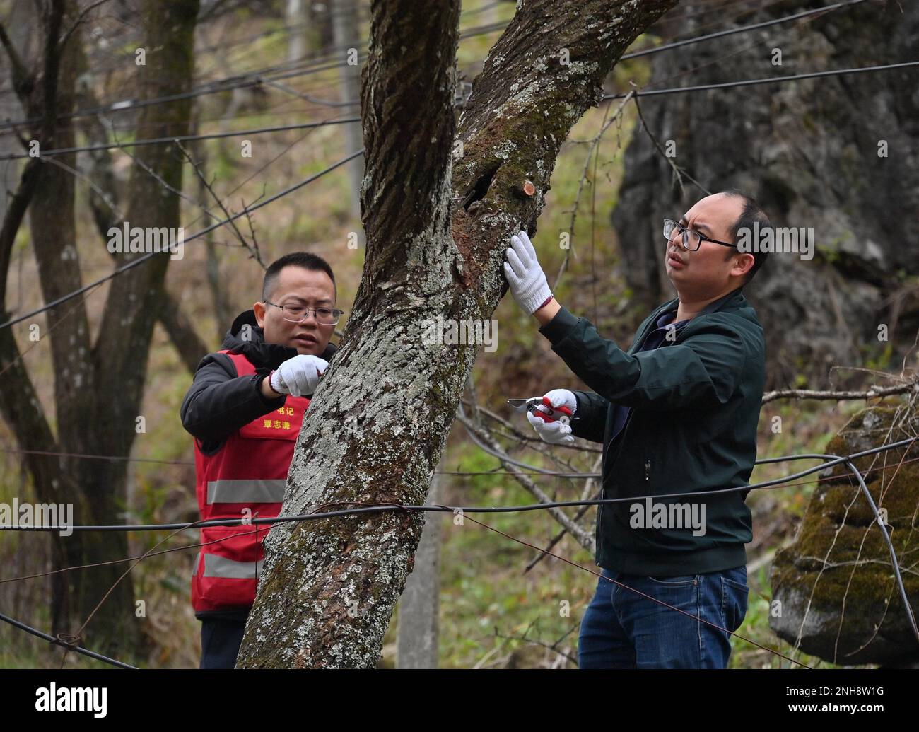 Tongban hi-res stock photography and images - Alamy