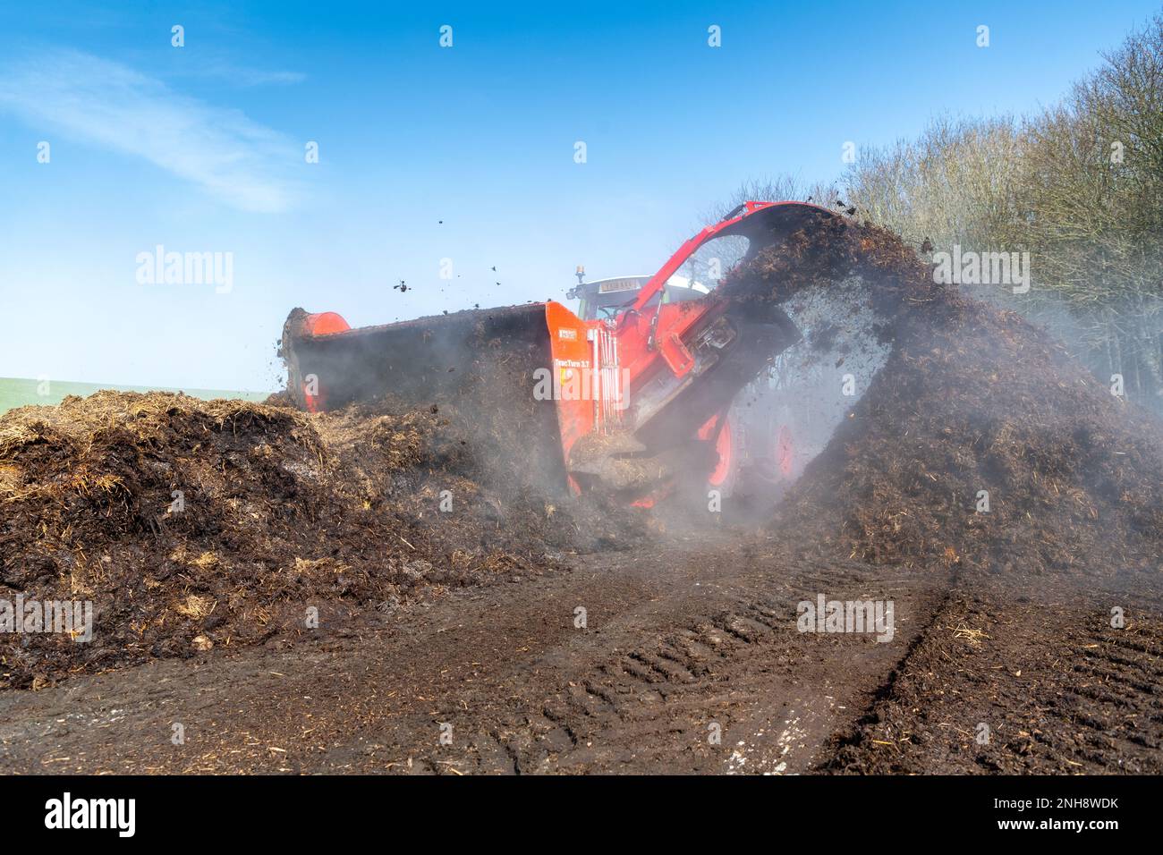 Turning a manure heap over to make compost to spread on farmland, which ...