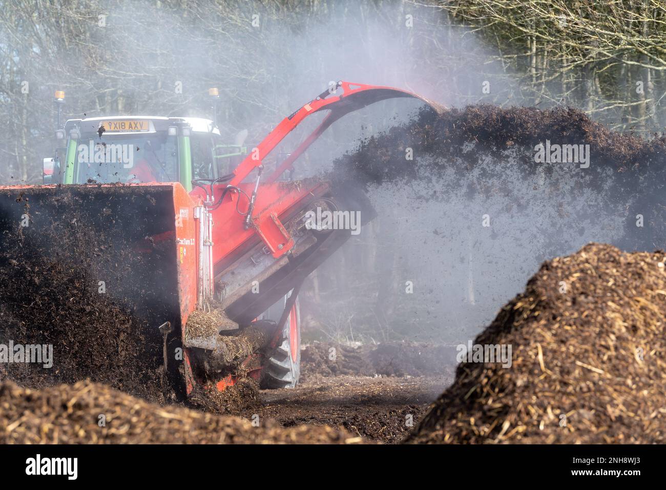Turning a manure heap over to make compost to spread on farmland, which ...