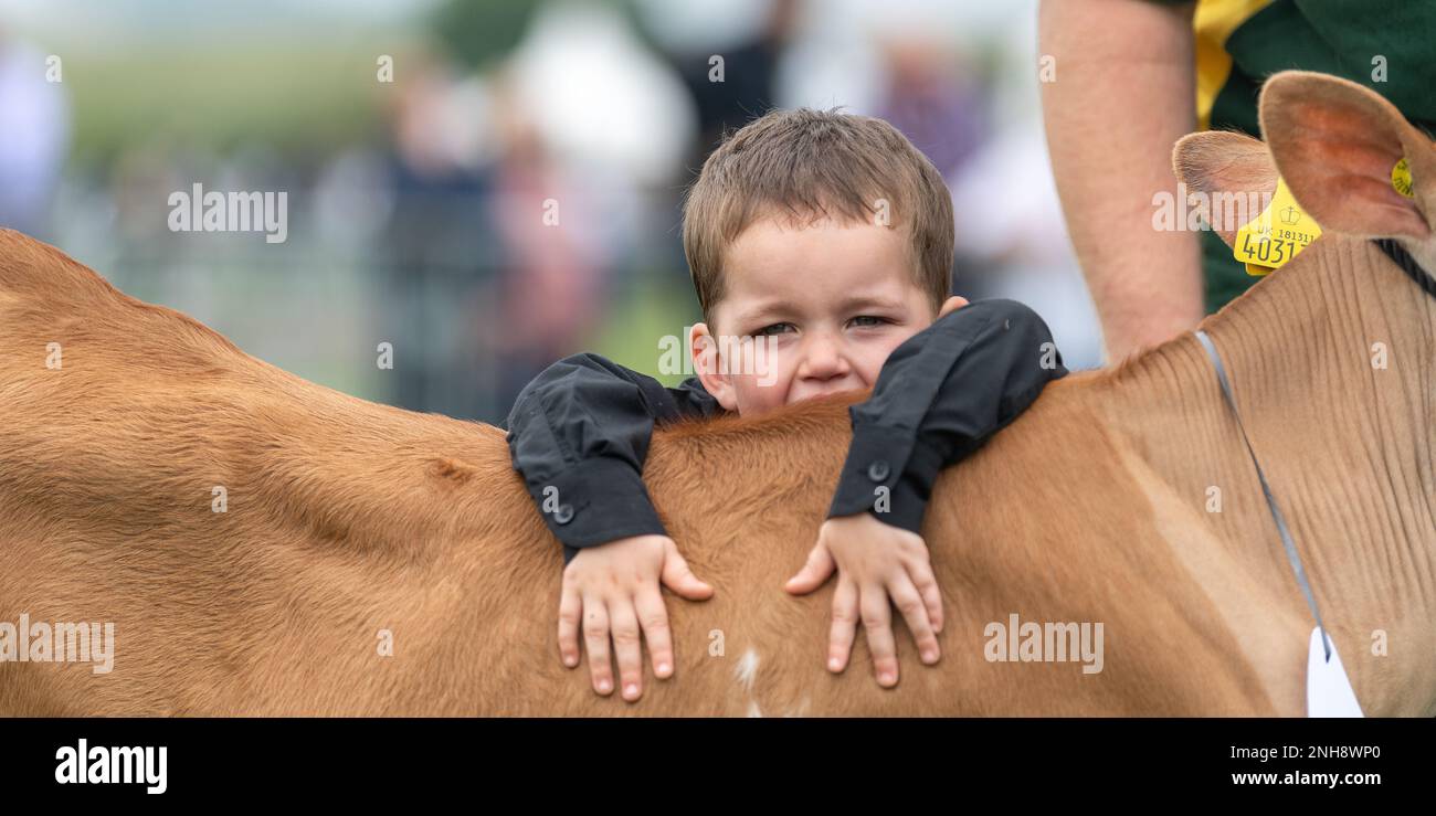 Young person showing cattle at fair hi-res stock photography and images ...