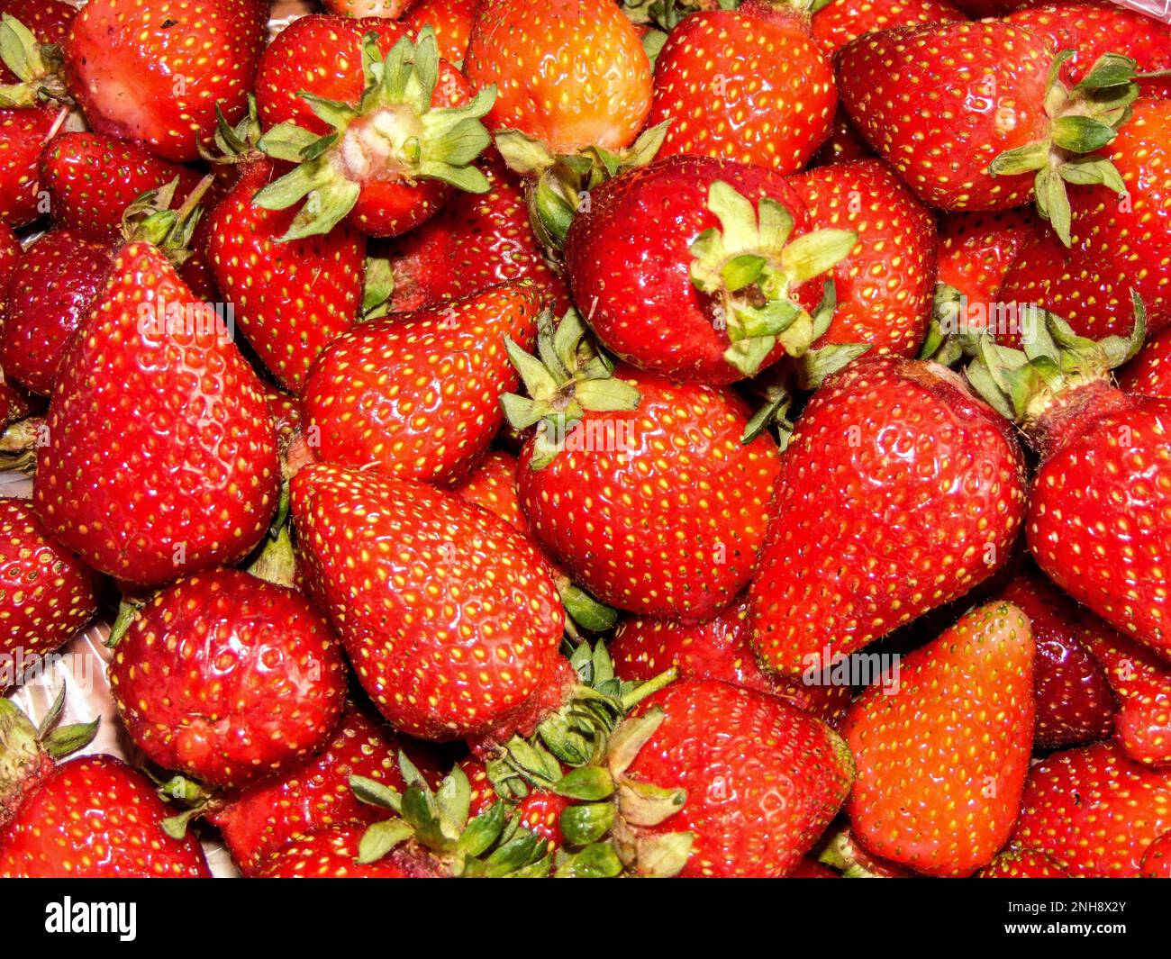 Group of strawberries hi-res stock photography and images - Alamy