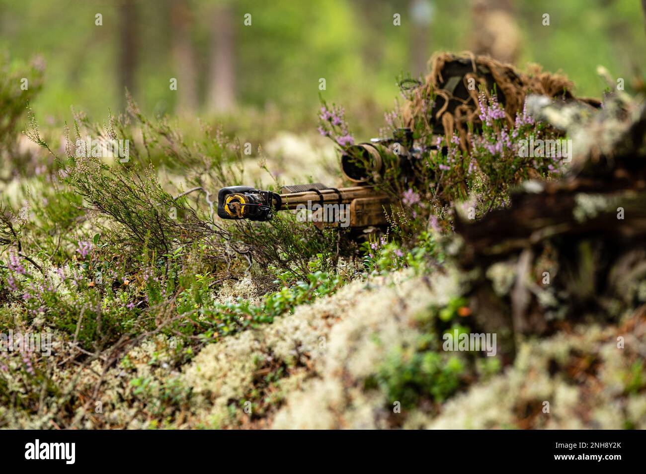 Sniper position hi-res stock photography and images - Alamy