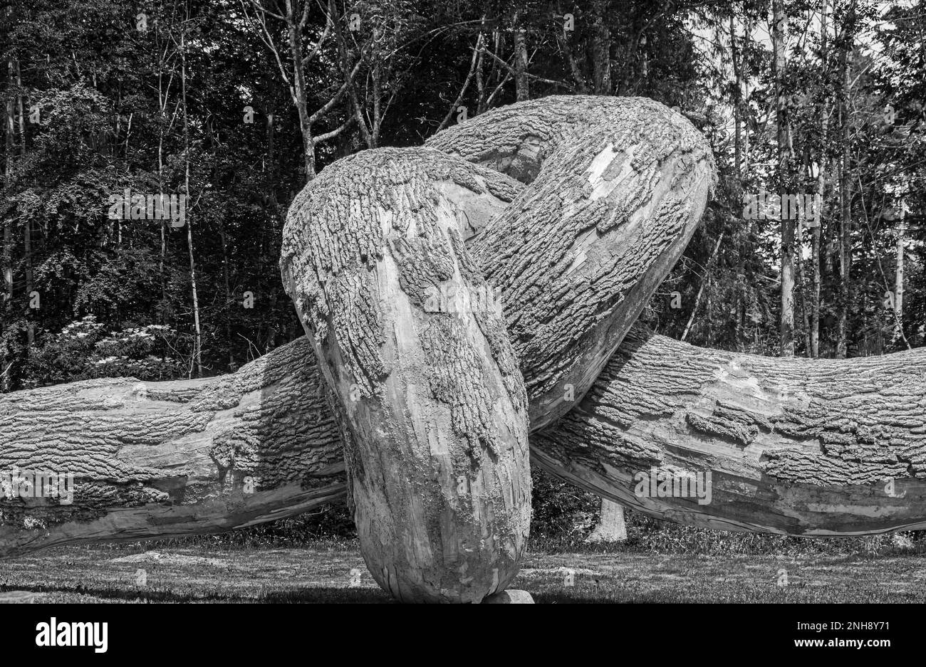 Arte Sella is exhibition of contemporary art which takes place in the ...