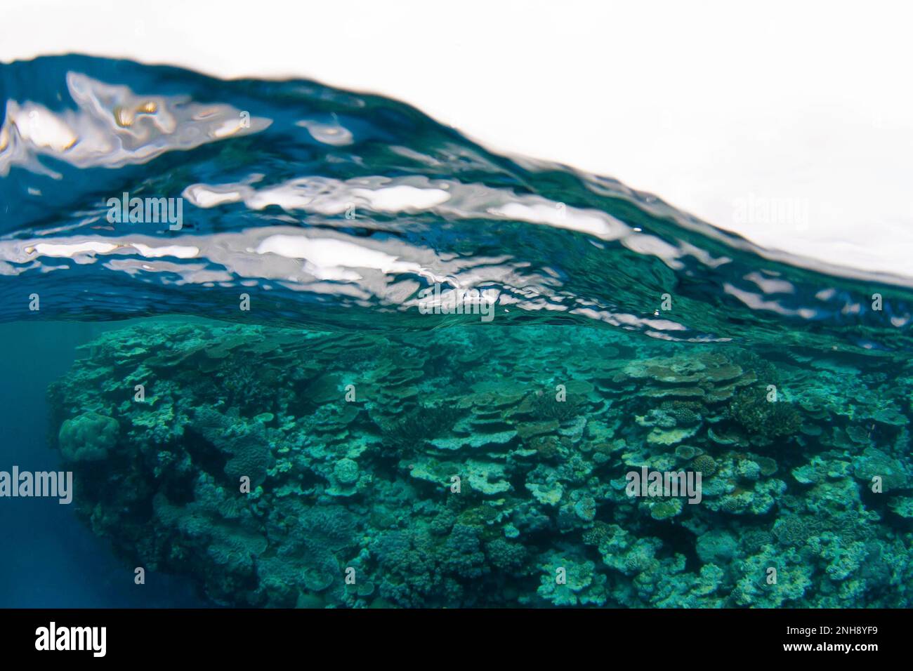 split image of reef and sky, Foa, Ha'apai, Tonga Stock Photo - Alamy