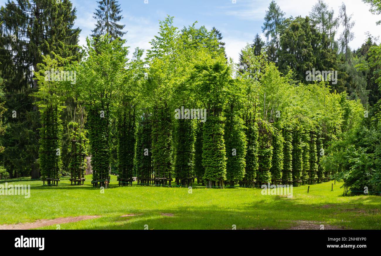 Arte Sella is exhibition of contemporary art which takes place in the ...