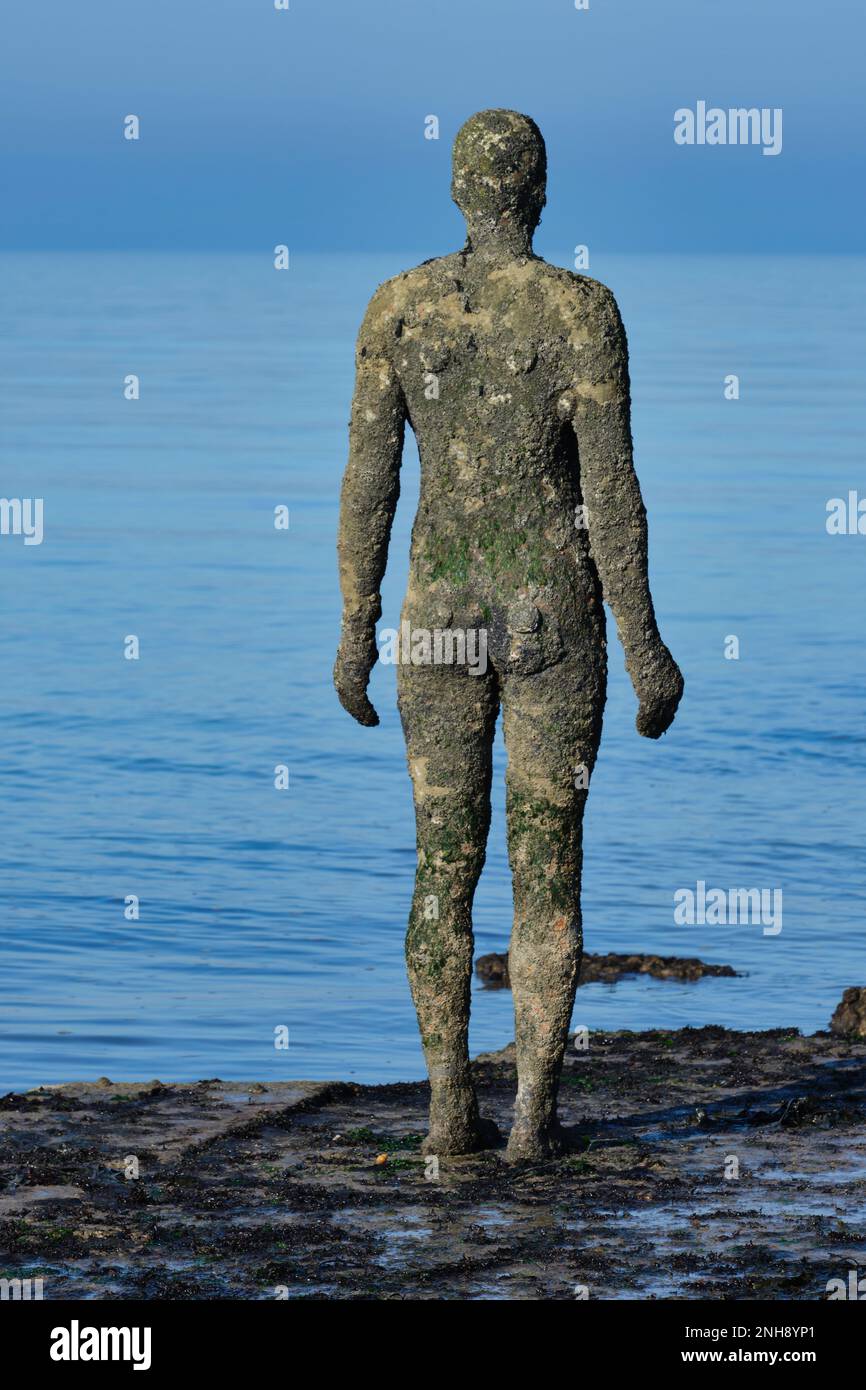 Antony Gormley sculpture fully emerged from the Bay, Margate, kent ...