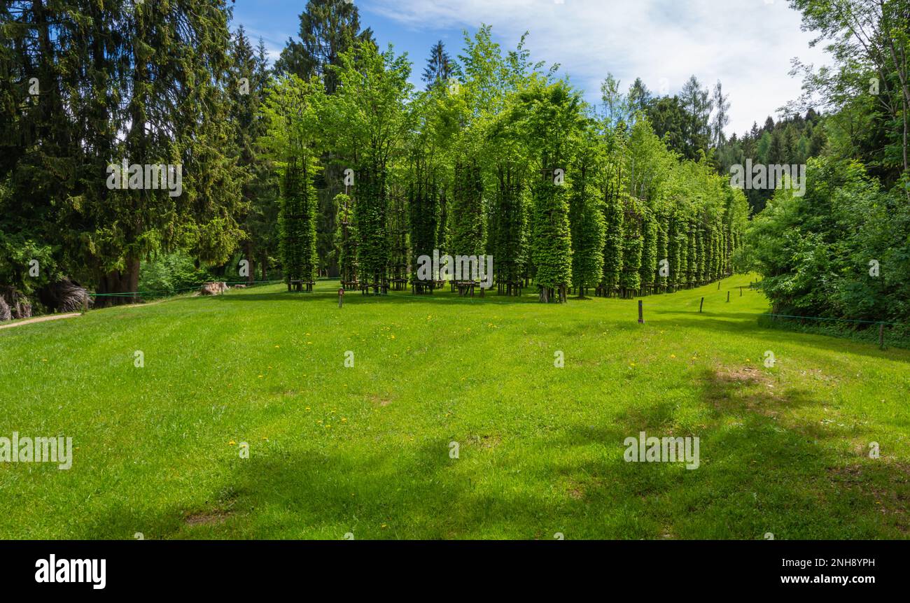 Arte Sella is exhibition of contemporary art which takes place in the ...