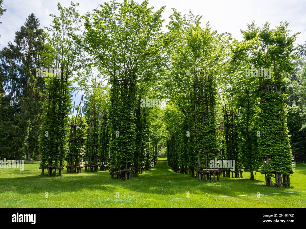 Arte Sella is exhibition of contemporary art which takes place in the ...