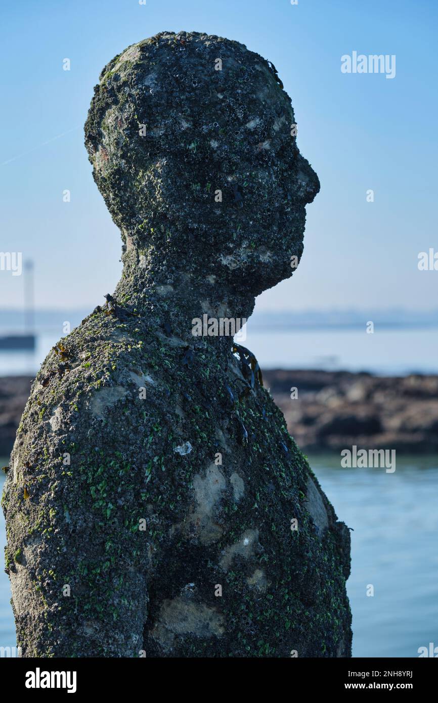 Antony Gormley sculpture fully emerged from the Bay, Margate, kent ...