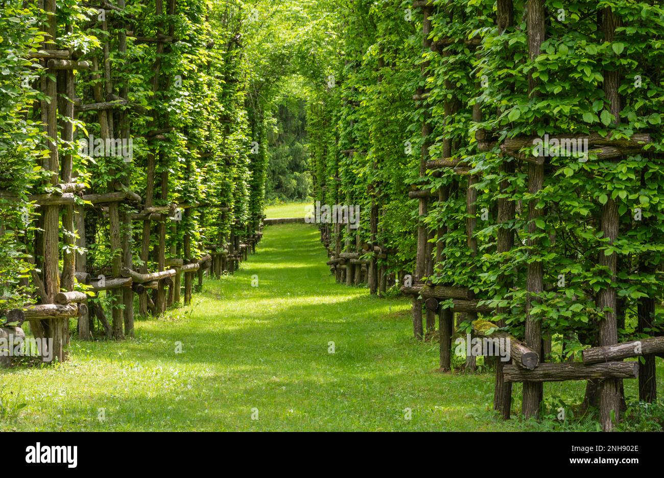 Arte Sella is exhibition of contemporary art which takes place in the ...