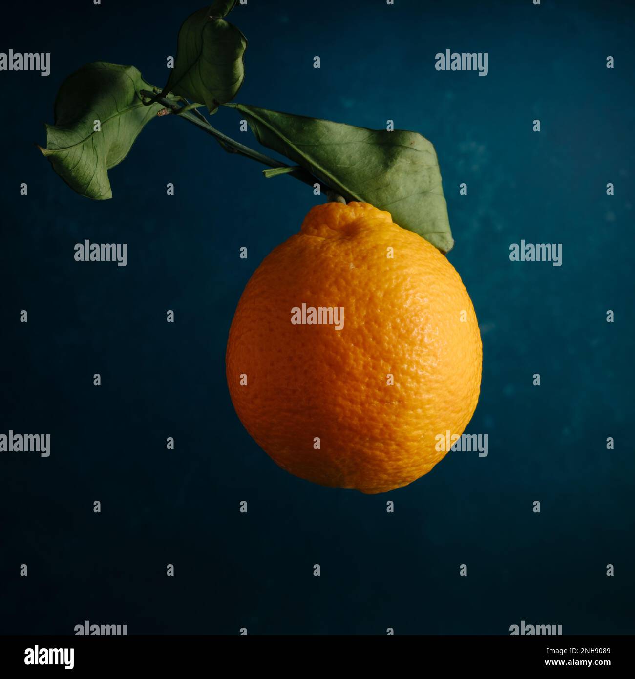 Floating orange with stem and leaves still attached Stock Photo - Alamy