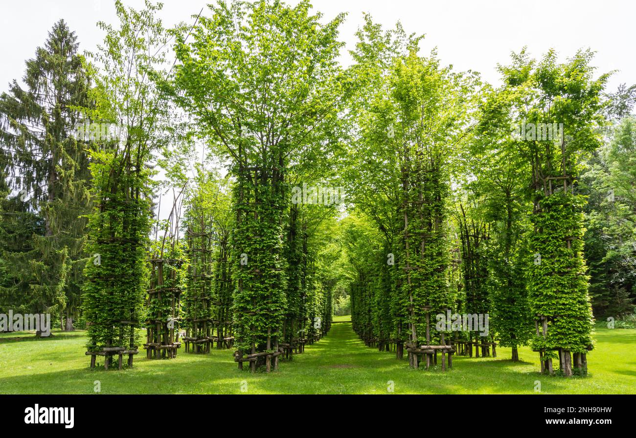 Arte Sella is exhibition of contemporary art which takes place in the ...