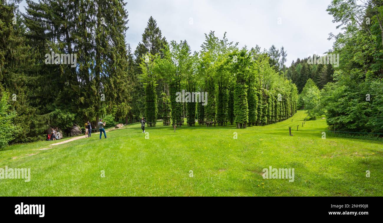 Arte Sella is exhibition of contemporary art which takes place in the ...