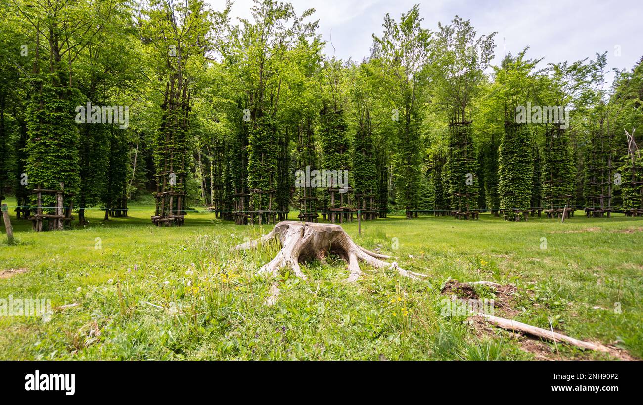 Arte Sella is exhibition of contemporary art which takes place in the ...