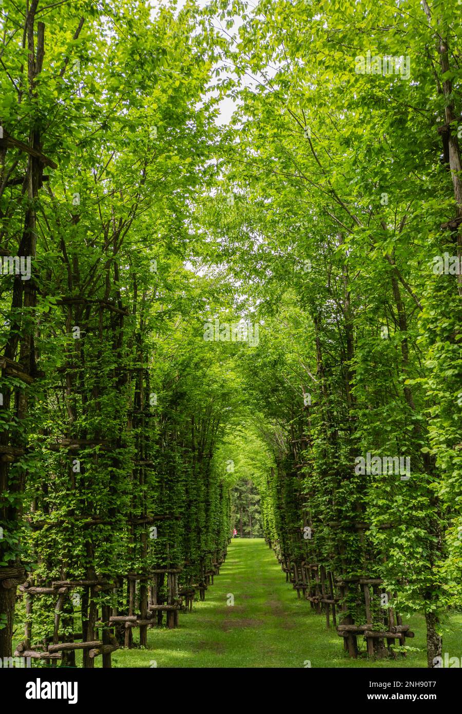 Arte Sella is exhibition of contemporary art which takes place in the ...