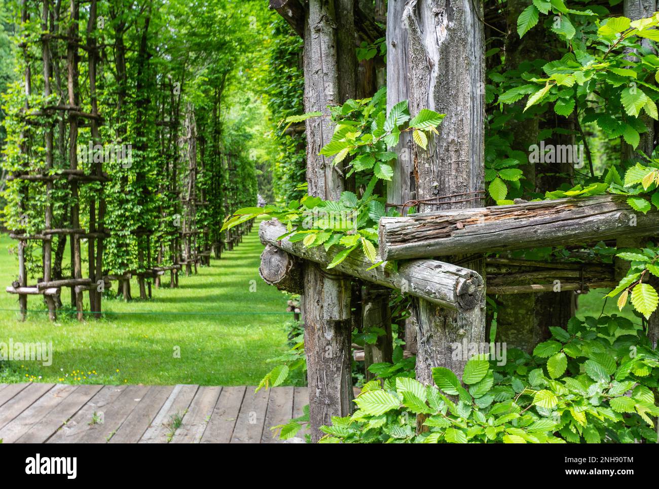 Arte Sella is exhibition of contemporary art which takes place in the ...