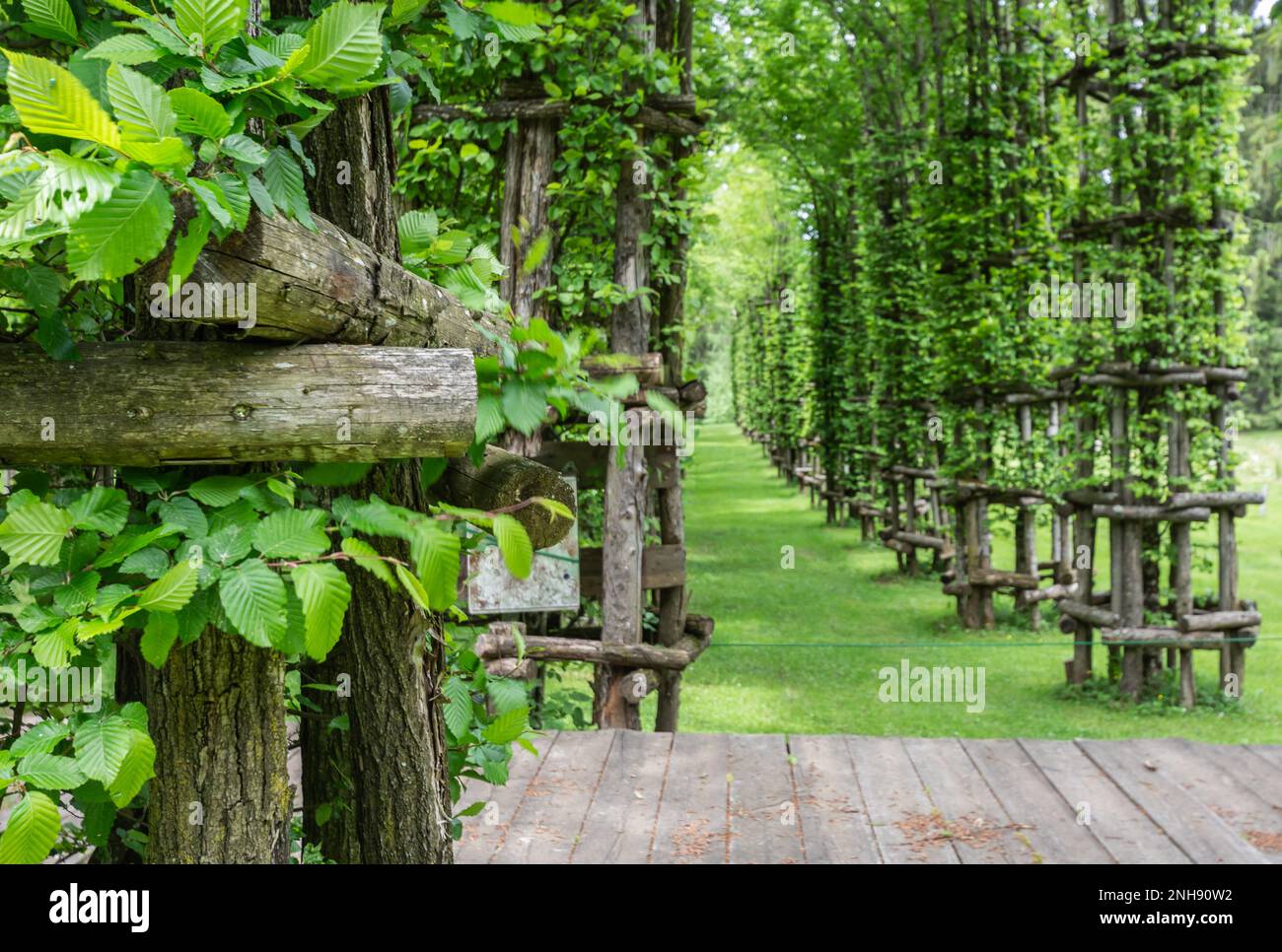 Arte Sella is exhibition of contemporary art which takes place in the ...