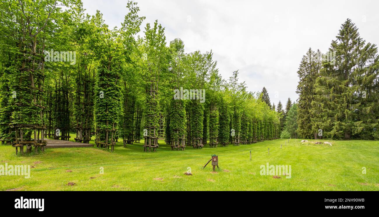 Arte Sella is exhibition of contemporary art which takes place in the ...