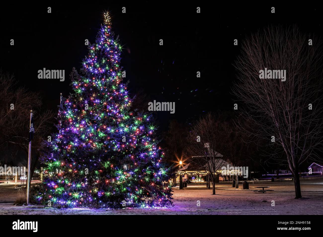 Beautiful tall Christmas tree decorated in Central Park to celebrate ...