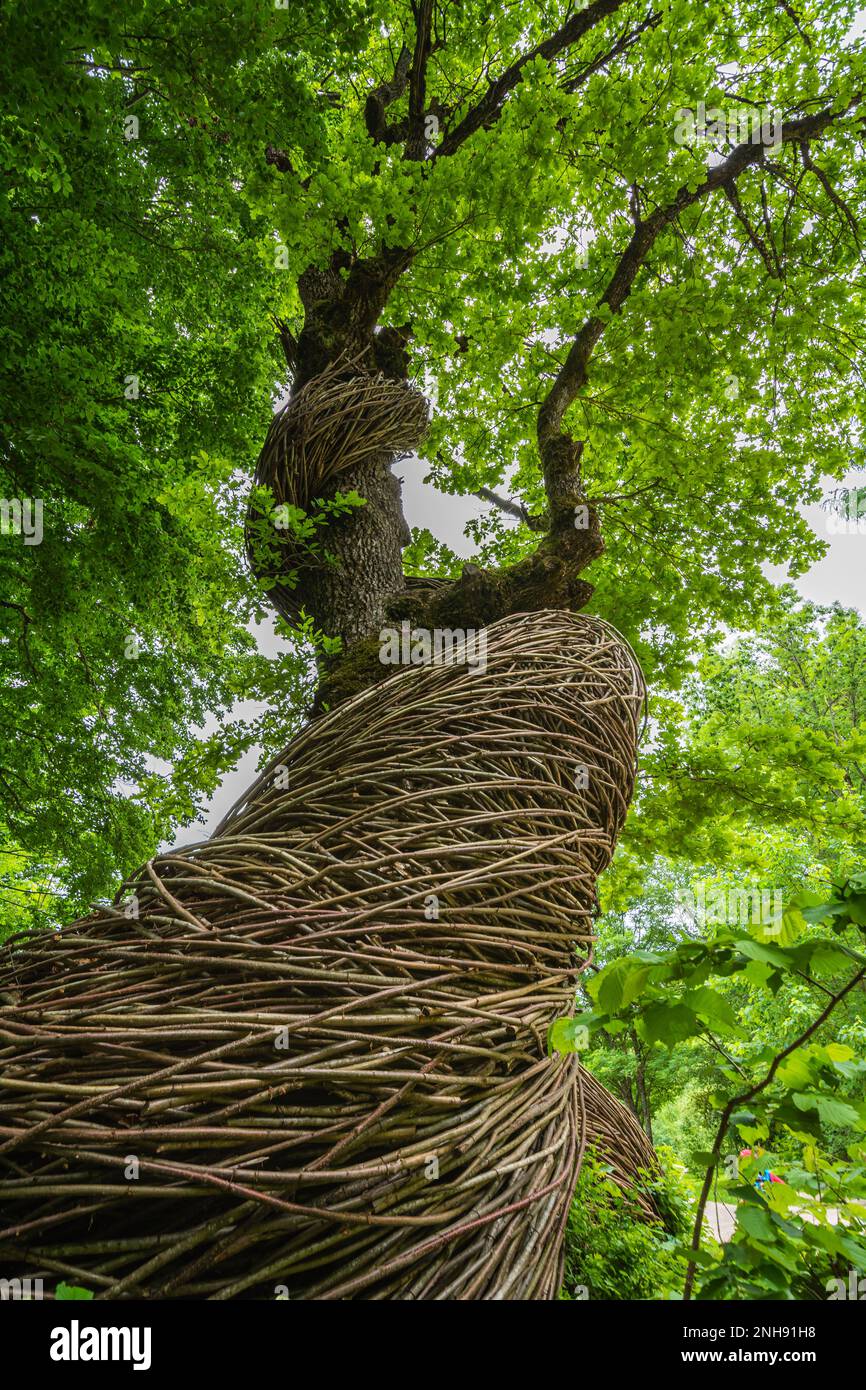 Arte Sella is exhibition of contemporary art which takes place in the ...