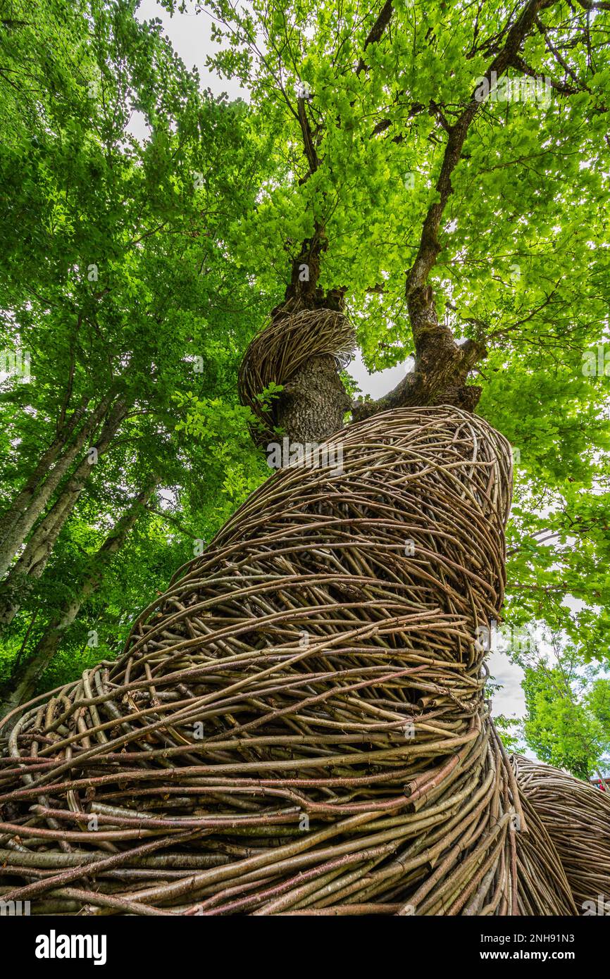 Arte Sella is exhibition of contemporary art which takes place in the ...