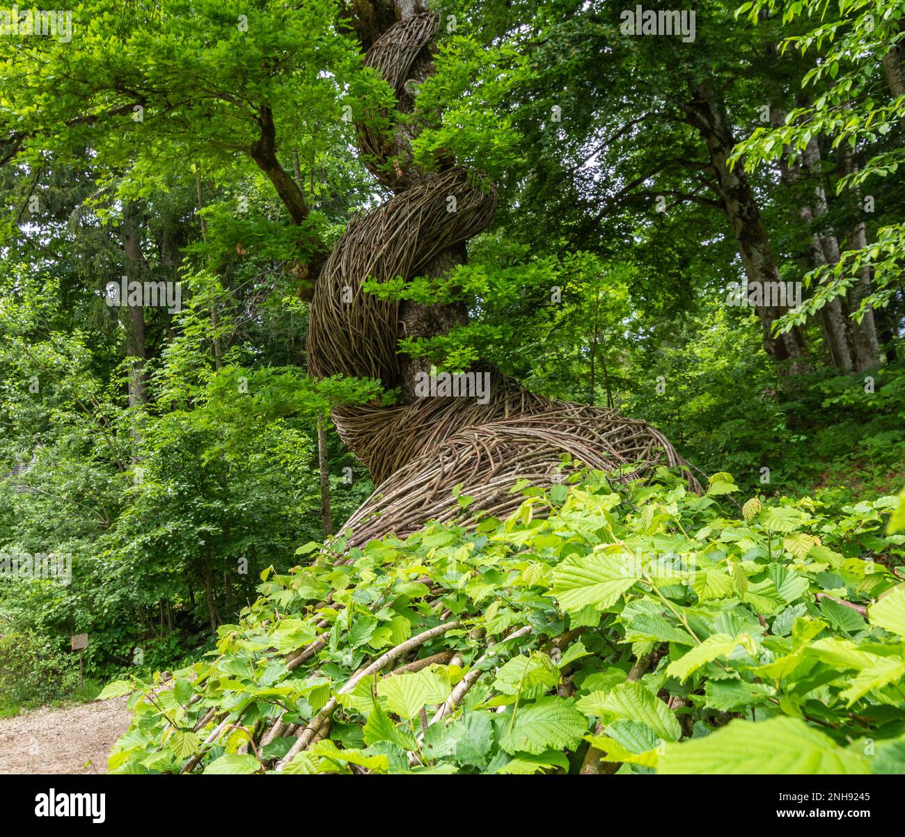 Arte Sella is exhibition of contemporary art which takes place in the ...