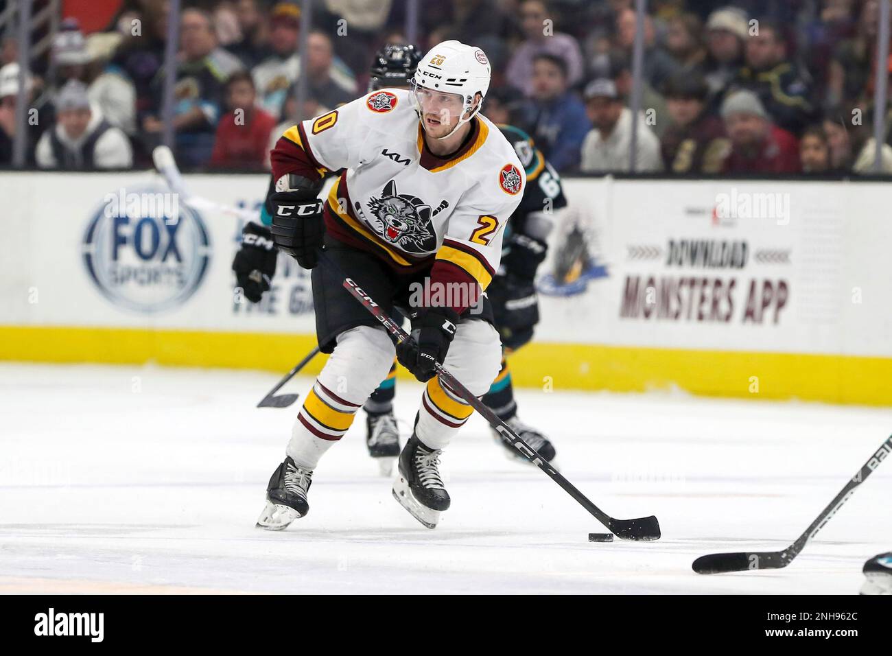 CLEVELAND, OH - FEBRUARY 03: Chicago Wolves defenceman Cavan Fitzgerald ...
