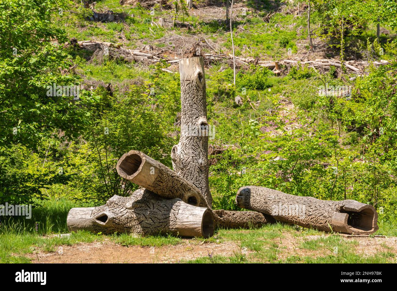 Arte Sella is exhibition of contemporary art which takes place in the ...