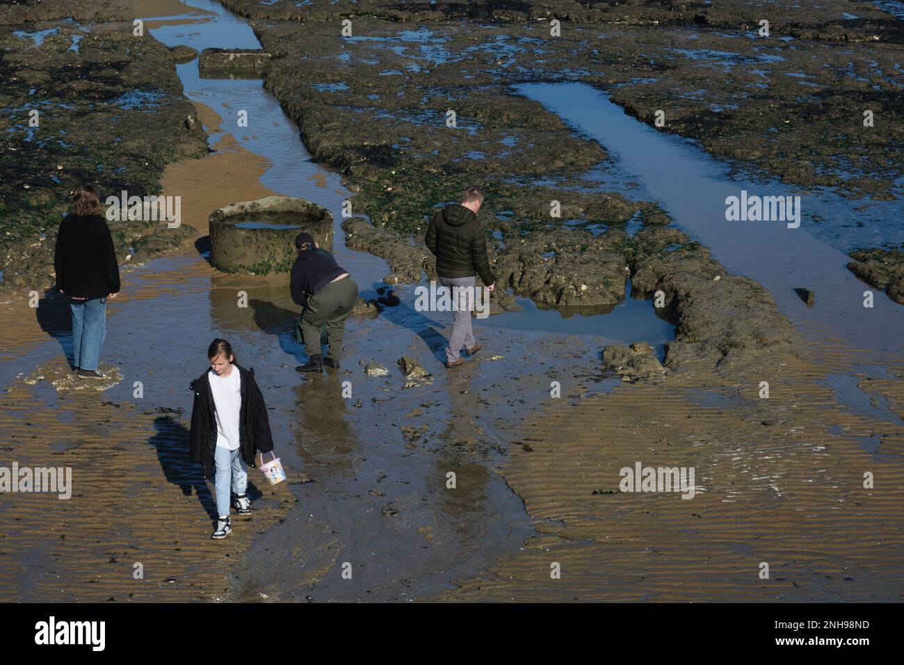 family rock pooling on Margate beach, kent in winter Stock Photo - Alamy