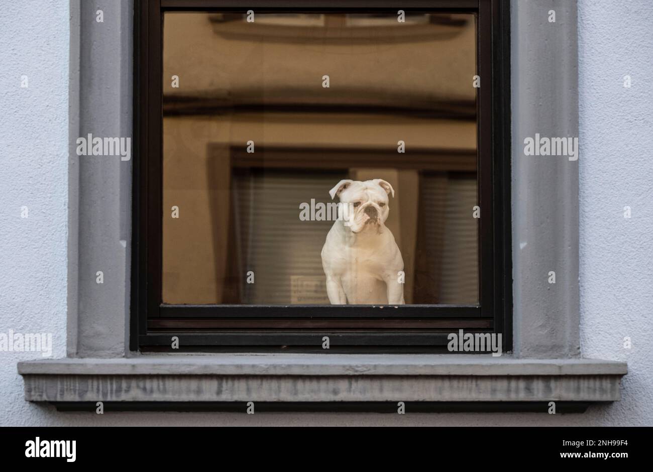 Klaa paris hi-res stock photography and images - Alamy