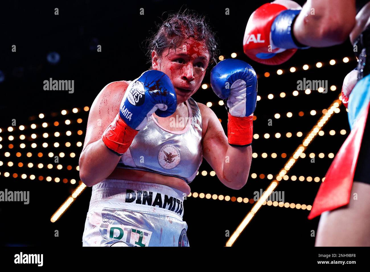 NEW YORK, NY - FEBRUARY 04: A bloodied Erika Cruz during the fight ...
